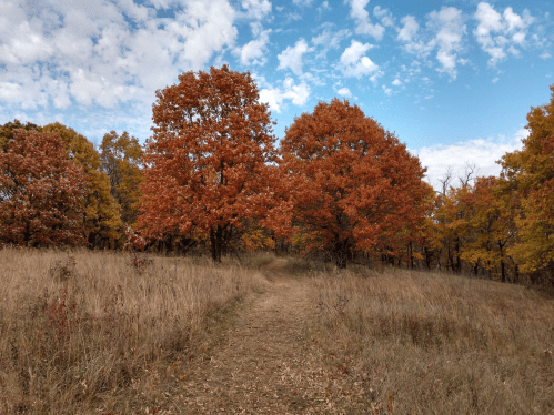 18 Best Hikes In Nebraska: Top-Rated Hiking Trails to Visit