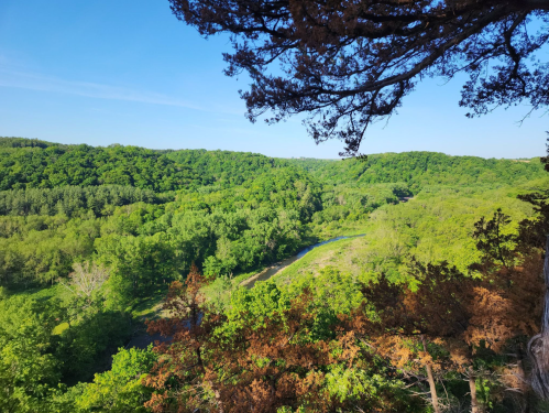 18 Best Hikes In Iowa: Top-Rated Hiking Trails To Visit