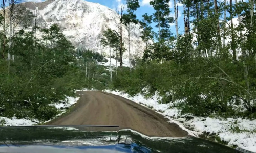 Kebler Pass In Colorado Is A Scenic Drive Near Crested Butte