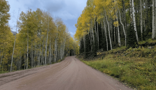 Kebler Pass In Colorado Is A Scenic Drive Near Crested Butte