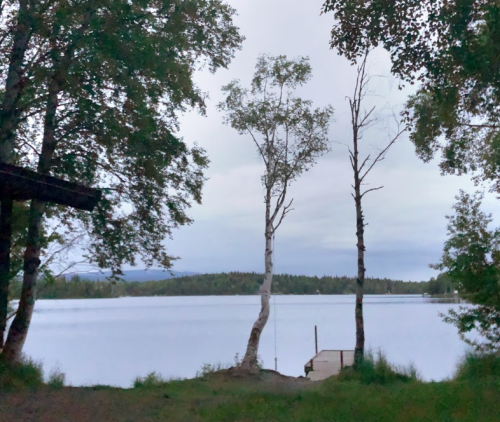 Discover Nancy Lake: The Perfect Summer Day Trip in Alaska