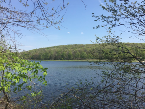 Hop Brook Lake In New Haven County, CT Is Great Summer Fun