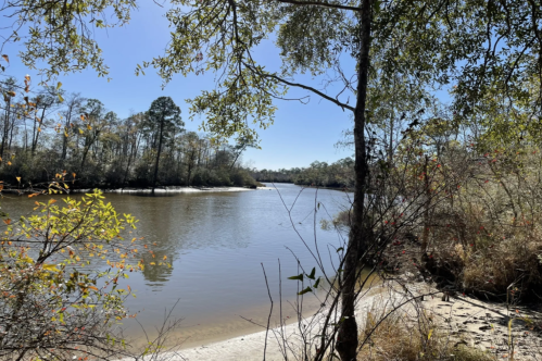 Pep's Point: The Best Natural Water Park In Hattiesburg Mississippi