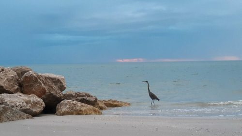 Upham Beach Park: A Hidden Beach In Florida