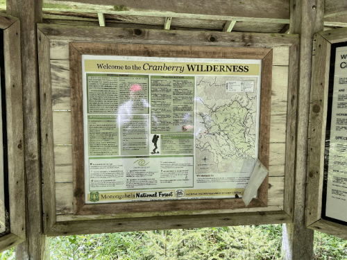 The Cranberry Wilderness In West Virginia: A Little Slice Of Canada
