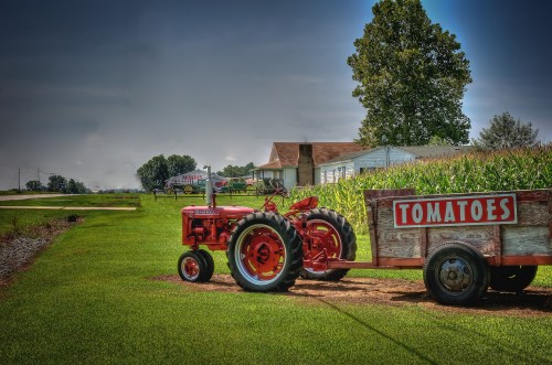 Morris Farm Market: A Roadside Farmers Market In Barco, NC