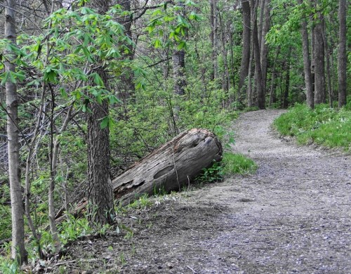 You'll Find Geodes In Indiana Within Beautiful Brown County