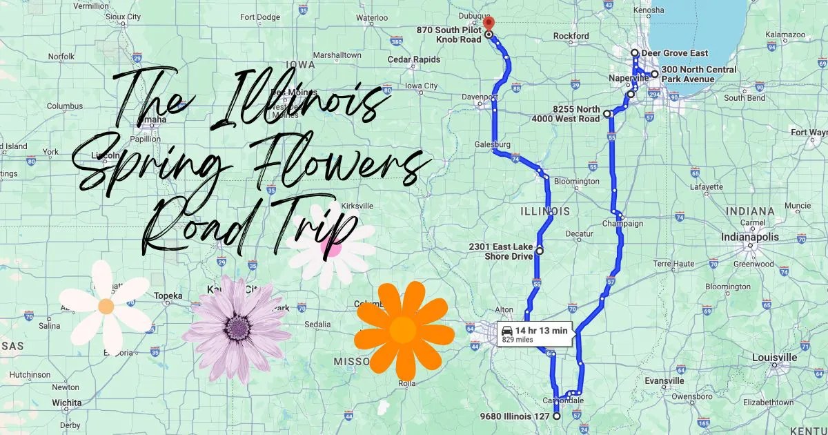 The 7 Best Flower Fields In Illinois To Visit In Spring
