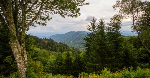 7 Affordable Mountain Towns in Tennessee Worth Exploring