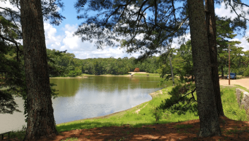 Explore Crystal Springs: A Historic Small Town In Mississippi