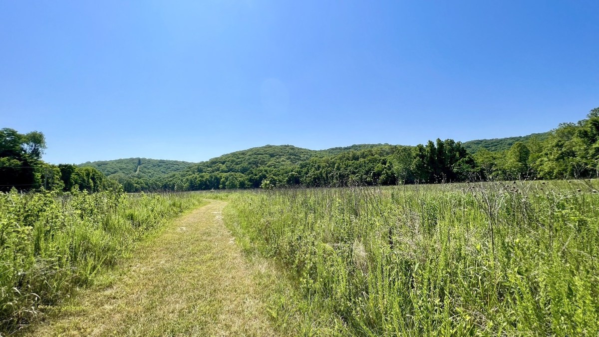 Unspoiled Nature Trail In Eureka, Missouri