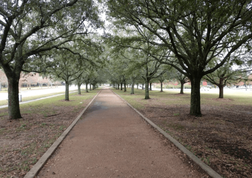 Best Parks In Baton Rouge, LA: Independence Community Park