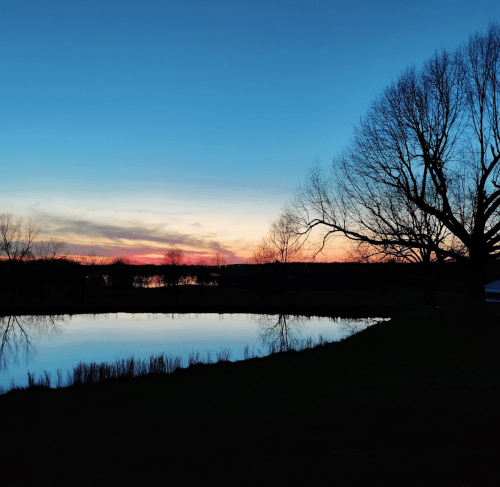 Go Stargazing In Kentucky At The Upcoming Star Party In August