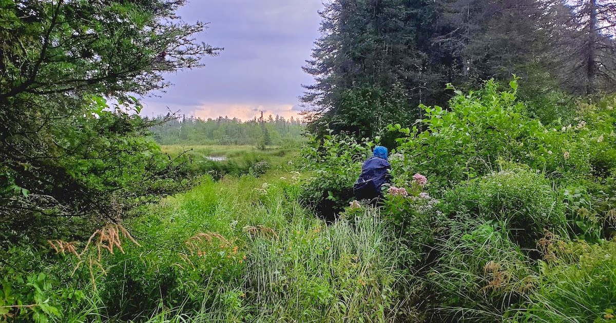 This Rugged And Remote Trail In Minnesota Is Worth The Payoff