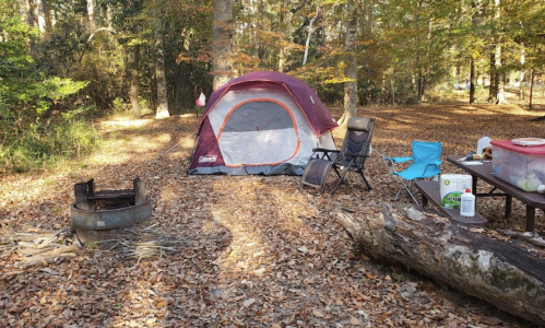 The Kisatchie Bayou Campground In Louisiana Is Secluded & Quiet