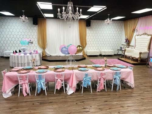 Princess-Themed Party In Arkansas: Princess Party Palace In NWA