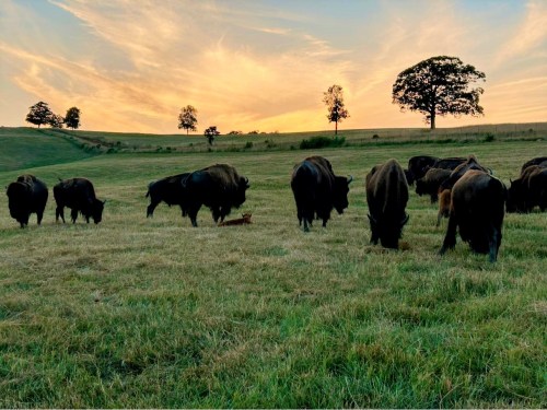 Quaint Little Town In Arkansas: Kingston Is A Must Visit