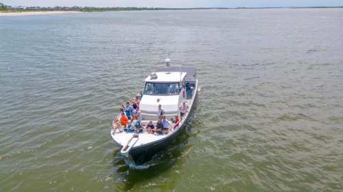 Captain Derek's Dolphin Adventure: Best Dolphin Tour On Tybee