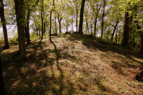 Oakville Indian Mounds In Alabama: Archaeological Discovery