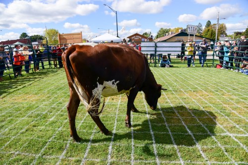 Quirkiest Wisconsin Festivals: Beef-A-Rama In Minocqua