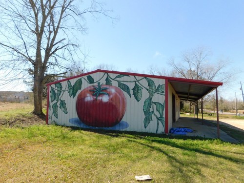 Slocomb, Alabama: Tomato Capital Of The World