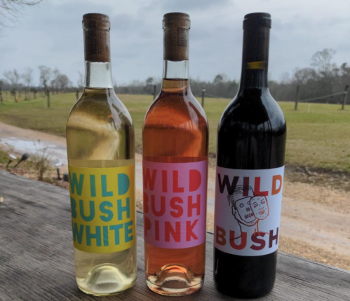 Wild Bush Vineyard Is A Hidden Winery In Louisiana