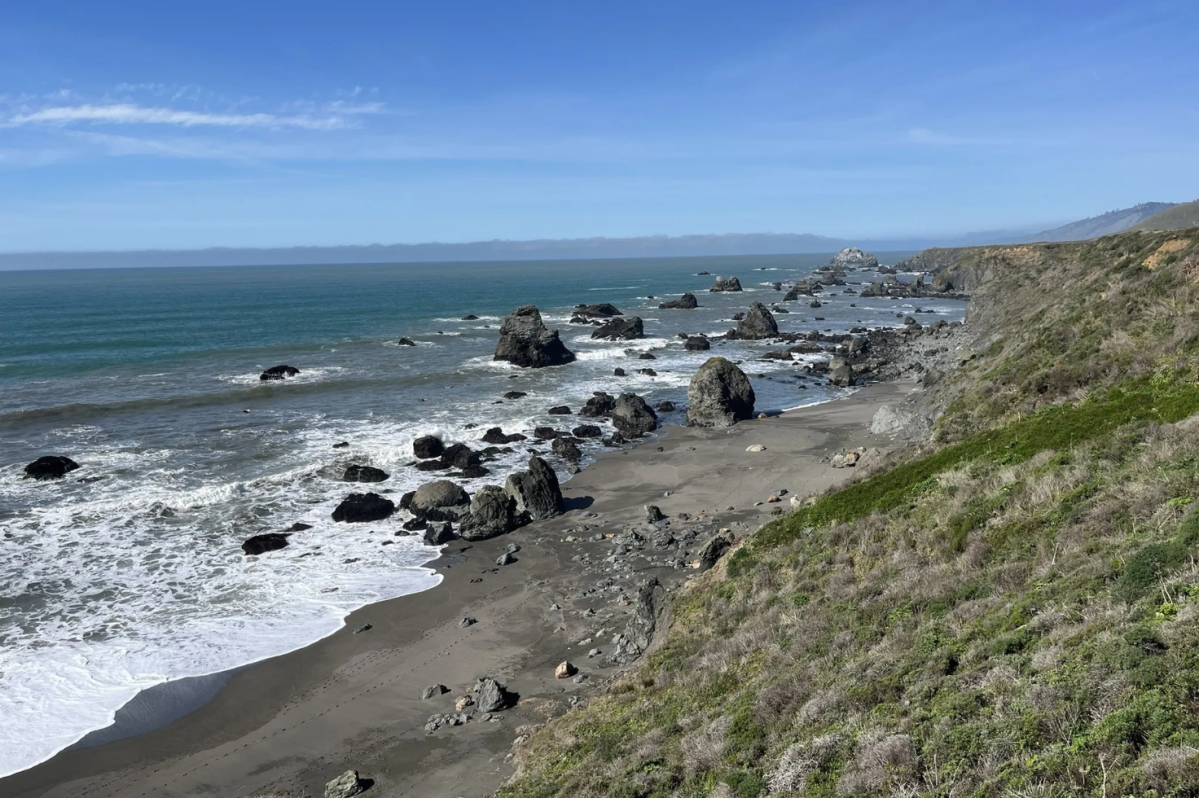 This Is One of the Best Beaches in Northern California to Find Seashells