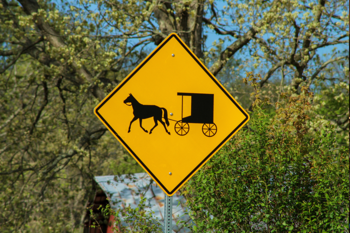 Exploring Amish Communities in Virginia