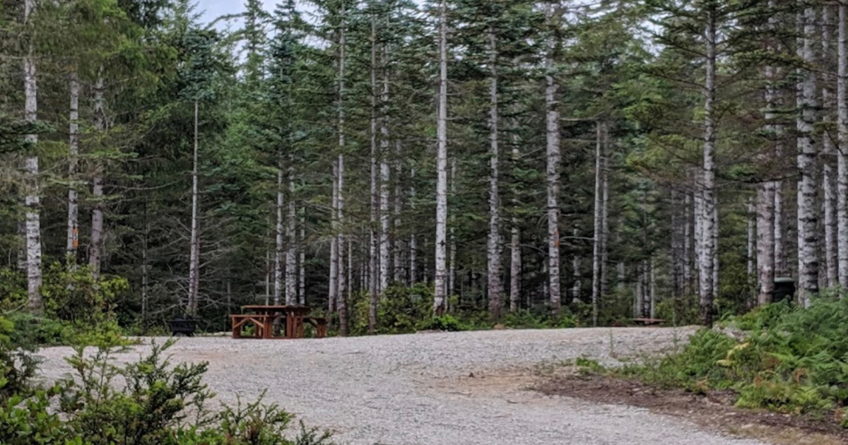 With Proximity To Tahuya State Forest And Off-Road Adventures, This RV ...