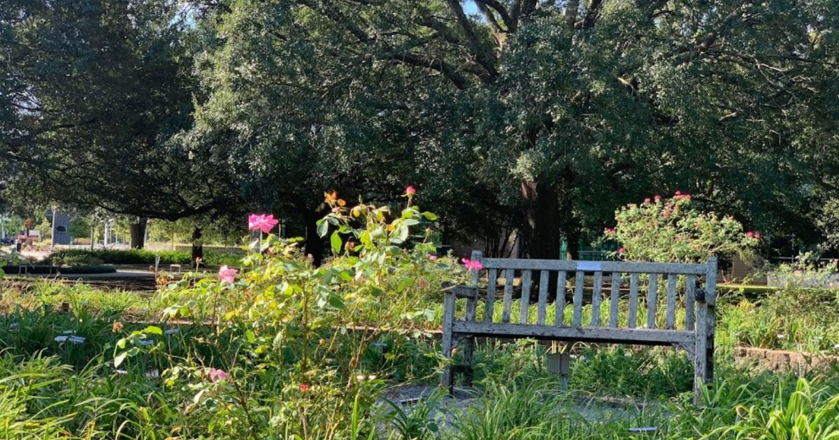 Best Parks In Baton Rouge, LA: Independence Community Park