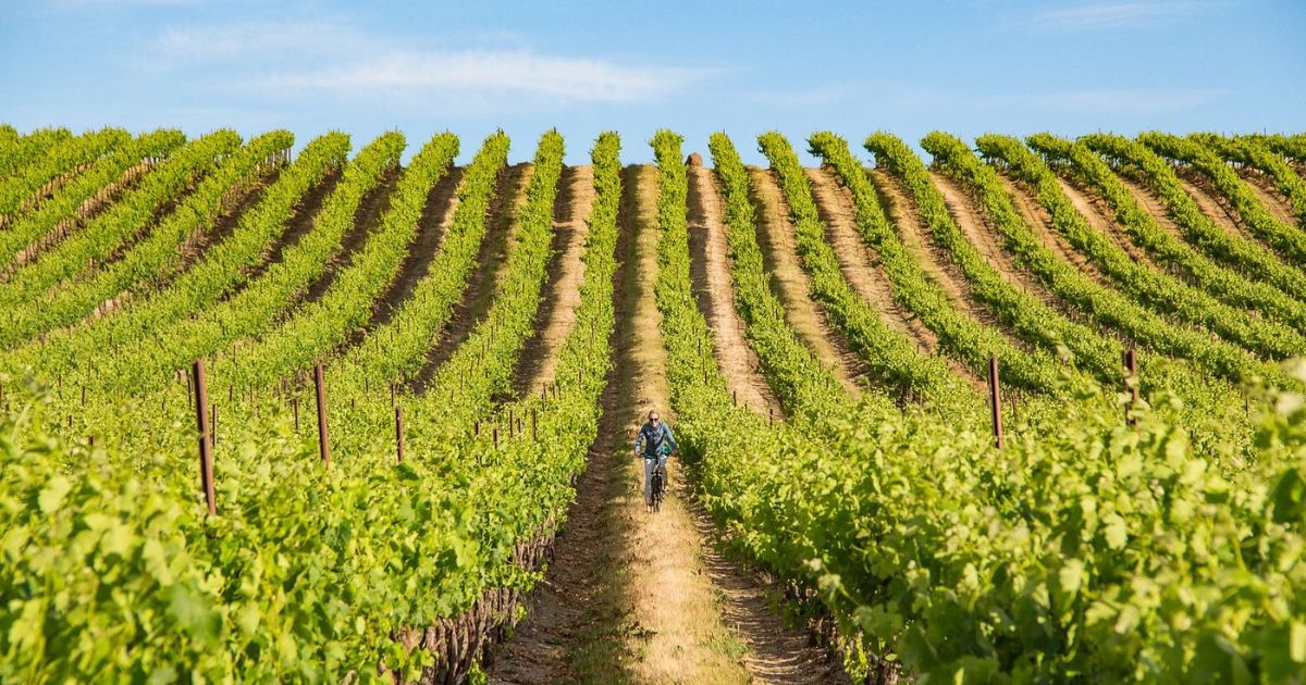 The Wine Capital Of Washington Is One Of The Most Charming Small Towns ...