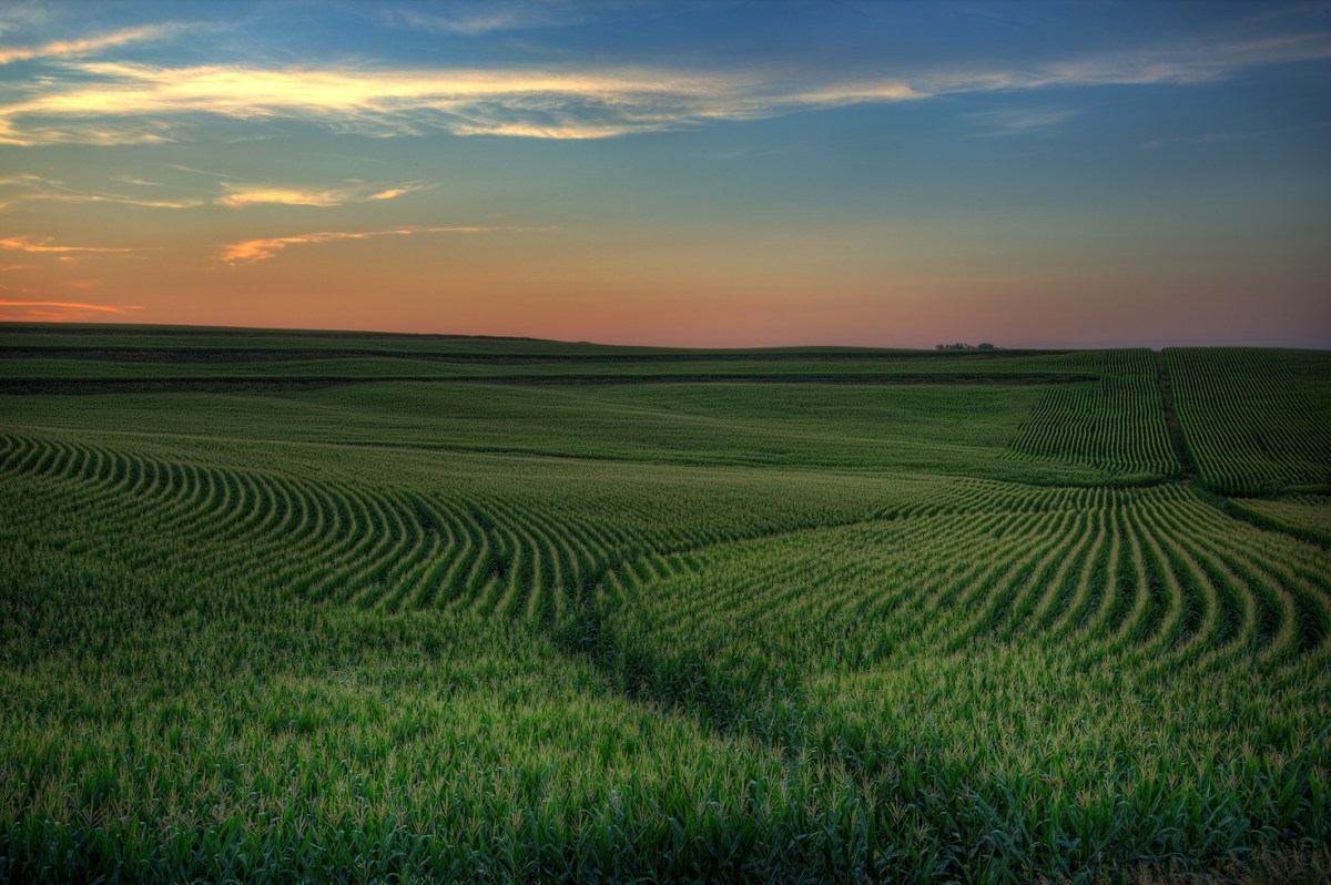 13 Fun Facts About Iowa You Probably Didn't Know