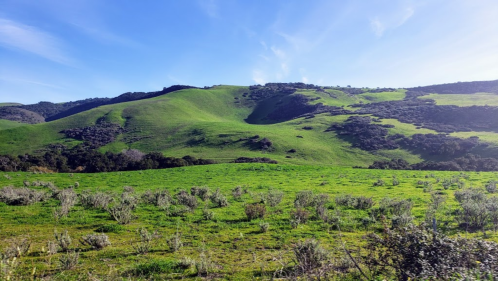 Discover The Remote Jalama Beach County Park In SoCal