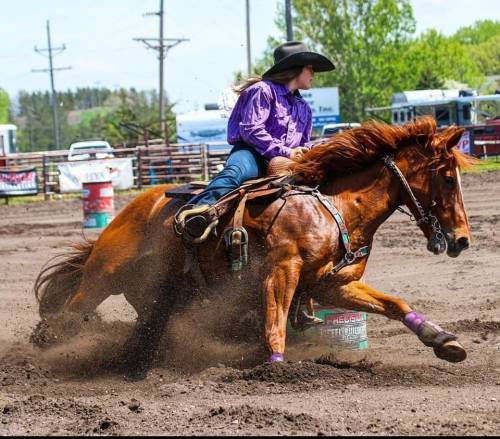 Hamel, MN Is Home To One Of The Largest Rodeos In Minnesota
