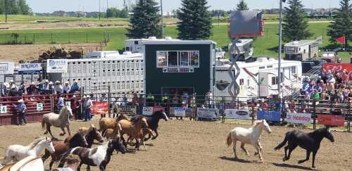 Hamel, MN Is Home To One Of The Largest Rodeos In Minnesota