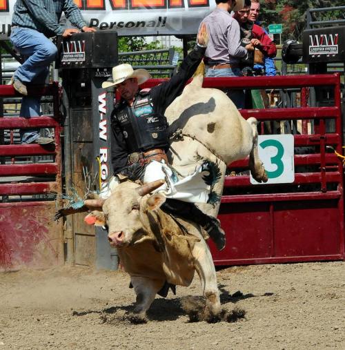 Hamel, MN Is Home To One Of The Largest Rodeos In Minnesota
