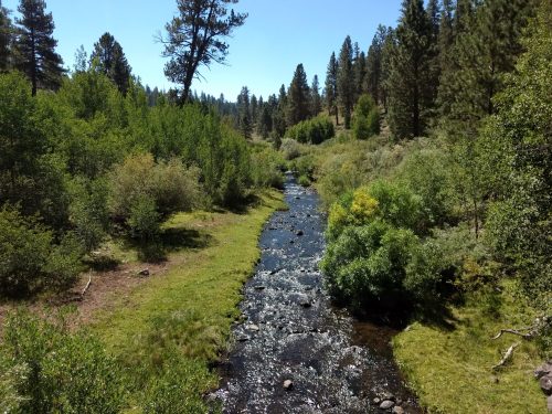 Modoc National Forest In Northern California Is Worth The Drive