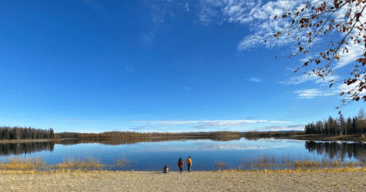 Inland Beach In Alaska: Chena Lake