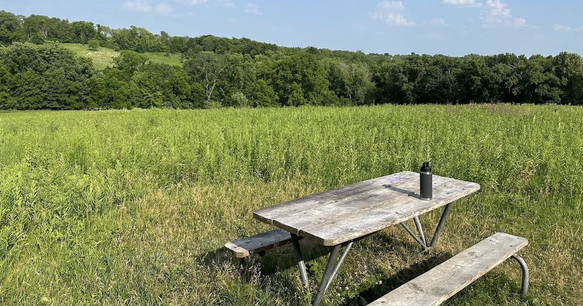Hickory Hill Loop Trail In Iowa: A Peaceful Adventure In Nature