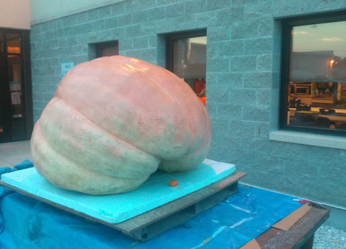 Morton, Illinois Is The Pumpkin Capital Of The World