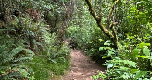Oregon’s Secret Beach Is a Coastal Escape With Epic Swimming Views