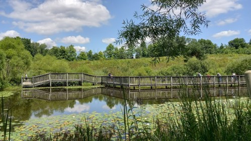 Best Things To Do In Mansfield, Ohio: Attractions And Local Gems