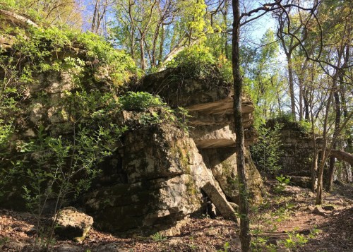 Explore Blevins Gap Nature Preserve in Huntsville, Alabama
