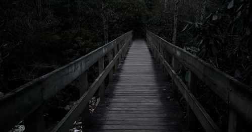The Mile High Swinging Bridge In North Carolina Is Terrifying, Yet Magical