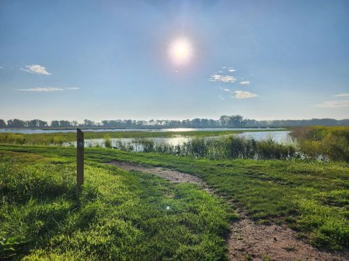 Best Summer Wildflowers In Michigan: Erie Marsh Preserve, Erie