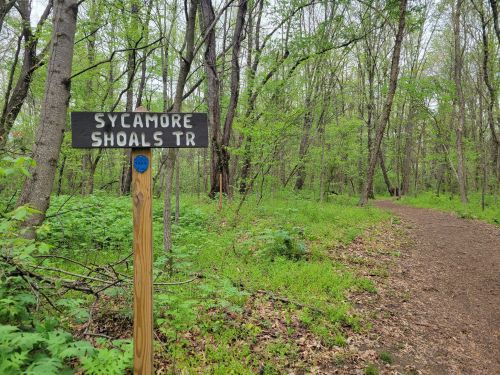 Explore The Historic Sycamore Shoals In Elizabethton, Tennessee