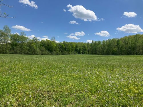 Collinwood Tennessee: A Charming Town Along The Natchez Trace