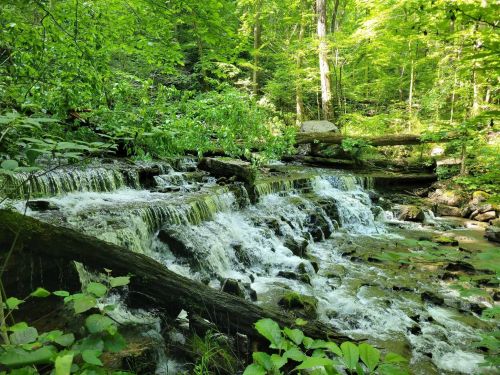 Hike Down To The Incredible Lost Cove Cave In Tennessee