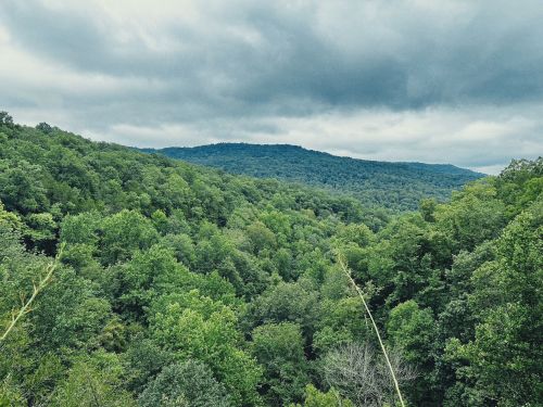 Hike Down To The Incredible Lost Cove Cave In Tennessee