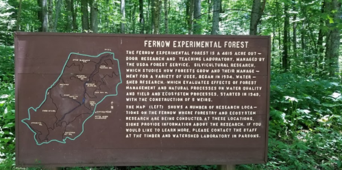 Fernow Experimental Forest: Unique Adventure In Parsons, West Virginia